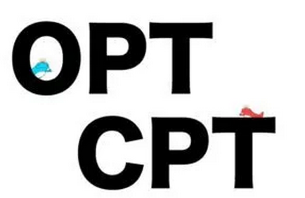OPT vs CPT - Emonics LLC